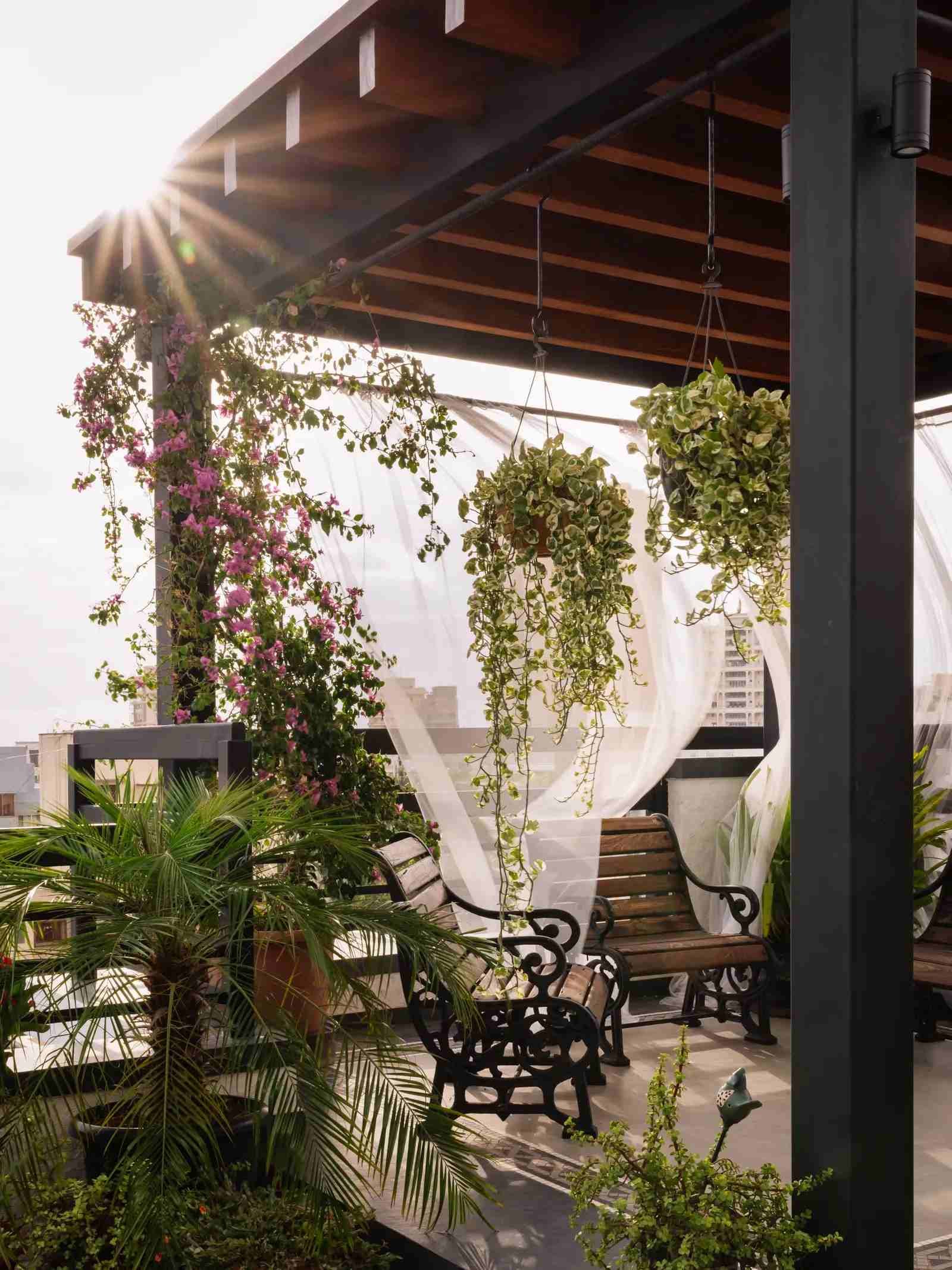 18 Terrace Garden Decoration Ideas - Trendy Residence